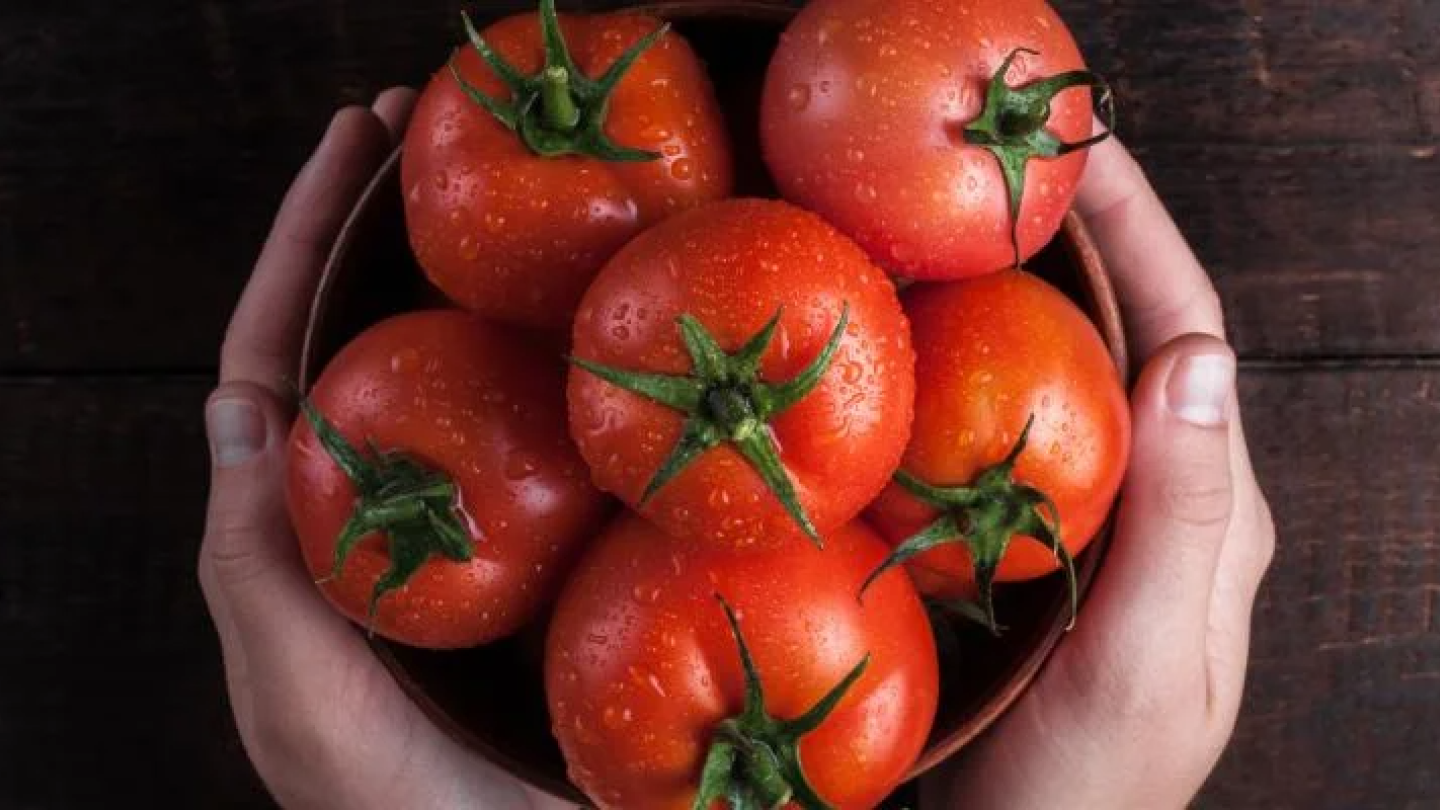 Buitonir Tomato Coulis Delivers Authentic Italian Flavour | Nestle